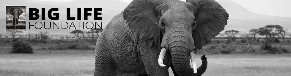 The Conservation Pledge