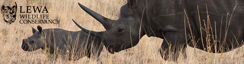 The Conservation Pledge