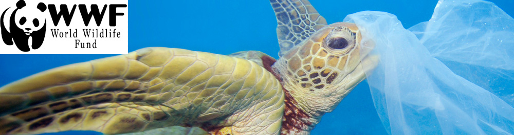 The Conservation Pledge